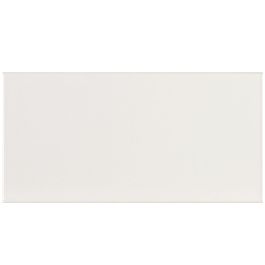 3''x6'' Evolution Blanco Matte